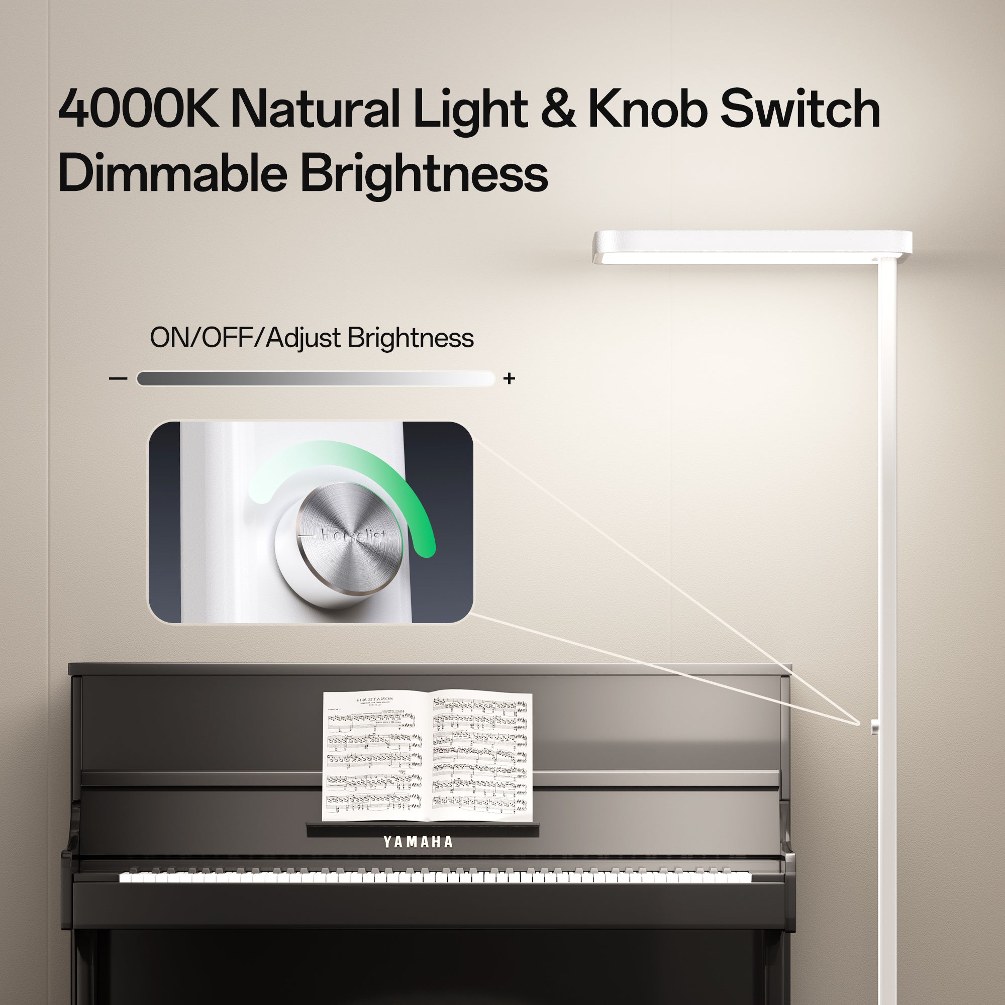 How to Create a Healthier, Eye-Friendly Home with the Right Lighting ...